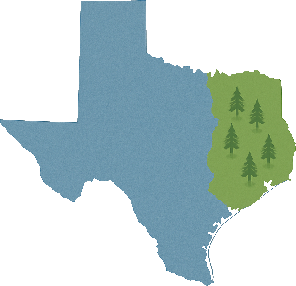 Trusted East Texas IT Services | Local Experts in Business Technology ...